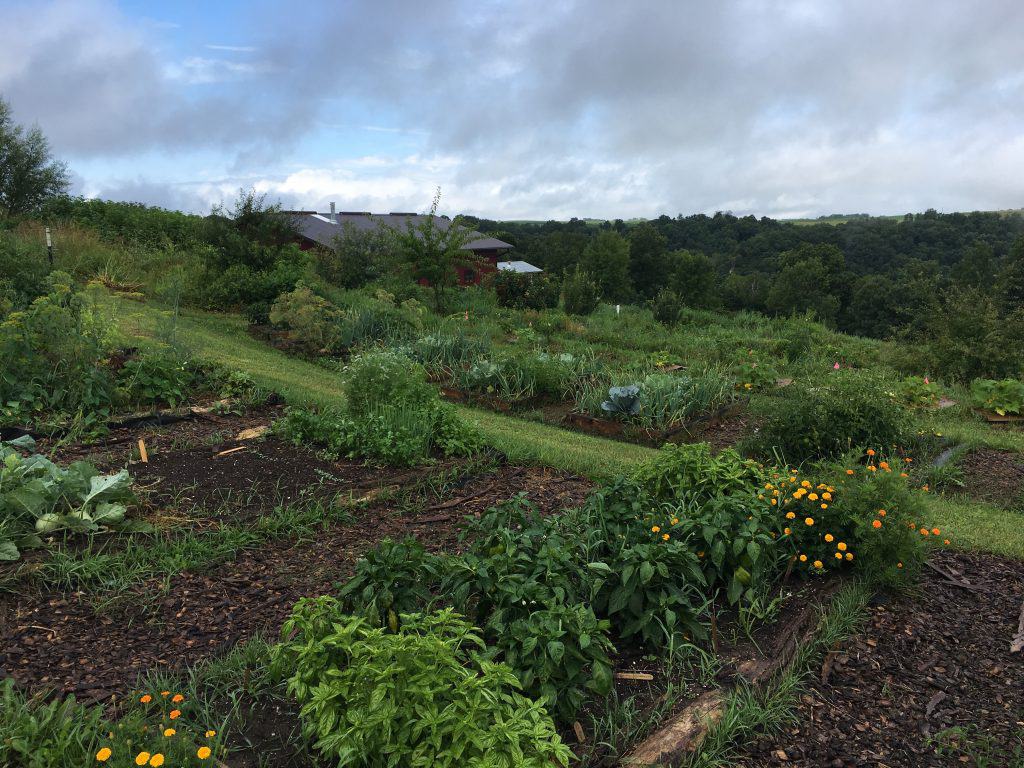 Food Forests and Forest Gardens